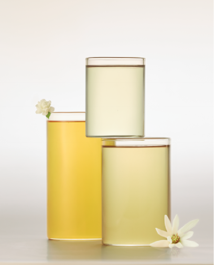 Mollytea – Premium Jasmine Tea from China | Handcrafted Floral Delight